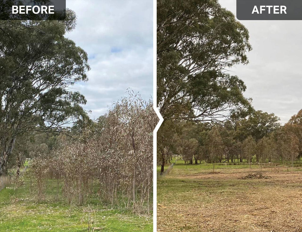 Hire slasher attachment for skid steer loaders | Mega Hire