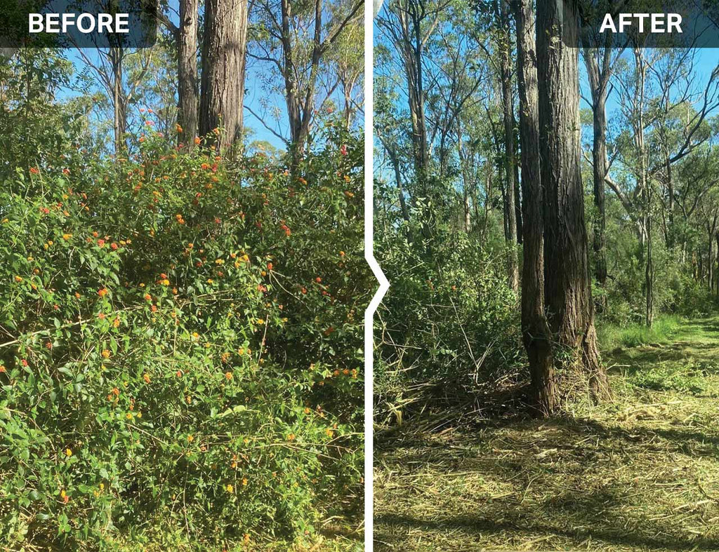 Hire slasher attachment for skid steer loaders | Mega Hire